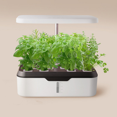 Indoor Hydroponics Garden Table Rise Garden: Indoor Hydroponic Garden