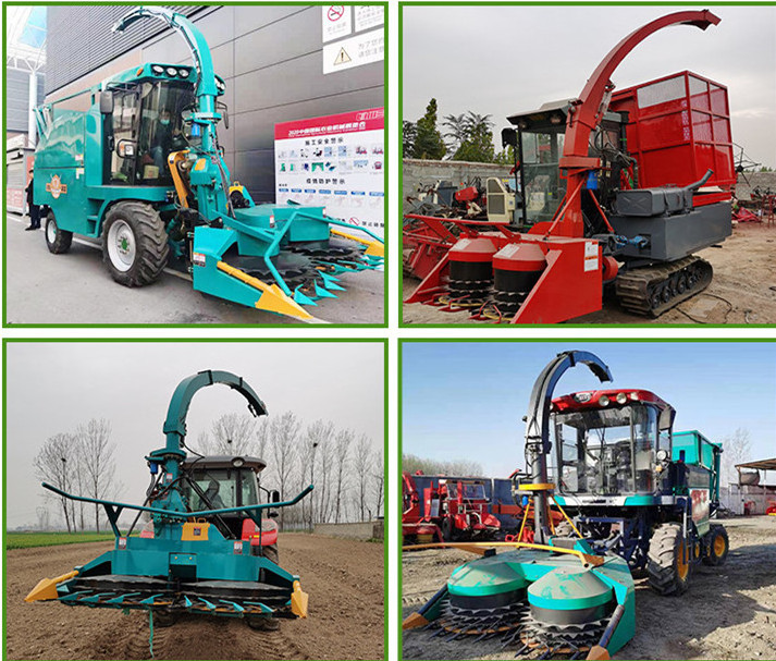 Self propelled green forage harvester mini corn combine harvester ...