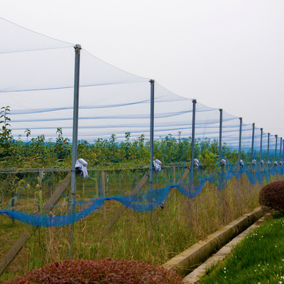 Heavy duty Reusable 100 HDPE anti bird protection mist net bird netting agricultural anti bird netting BestSuppliers