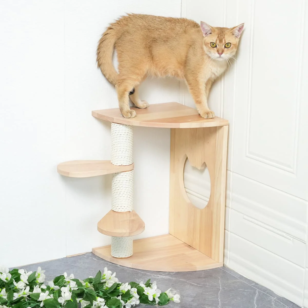 Rubberwood Cat Wall Steps Large Vertical Wood Scratcher with Premium ...