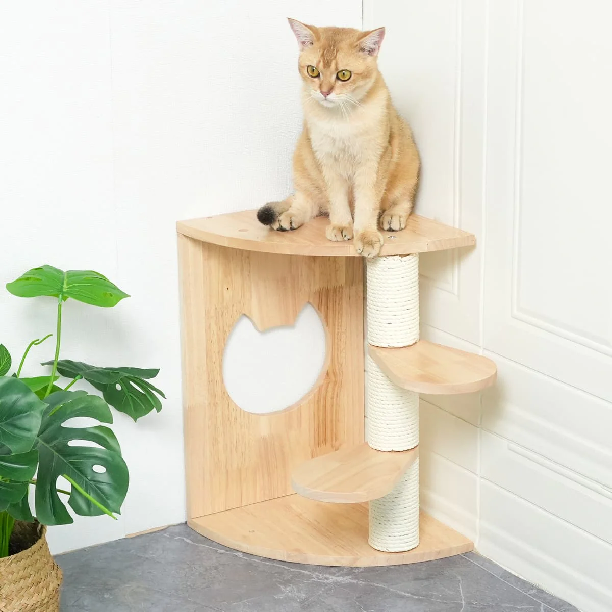 Rubberwood Cat Wall Steps Large Vertical Wood Scratcher with Premium ...