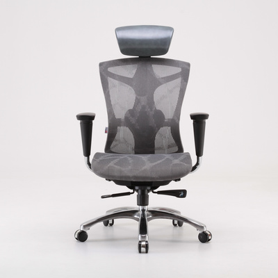 Branch Furniture uplift pursuit ergonomic chair SIHOO V1 Grey ergonomic aesthetic chair OEM Distribute full mesh ergonomic chair BestSuppliers