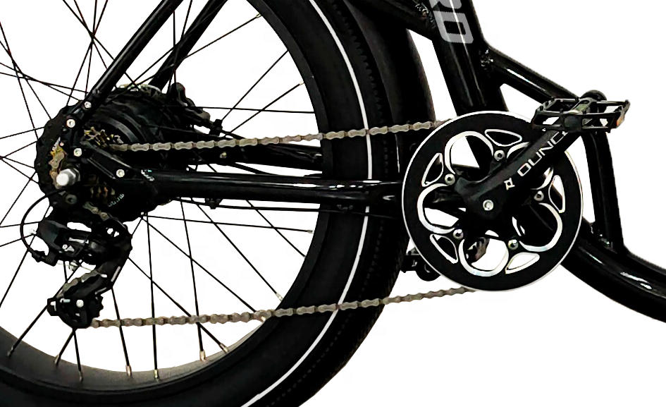 Vacation 26" Alloy Frame 500w Heavy Electric Cargo Bike Dutch Tricycle ...