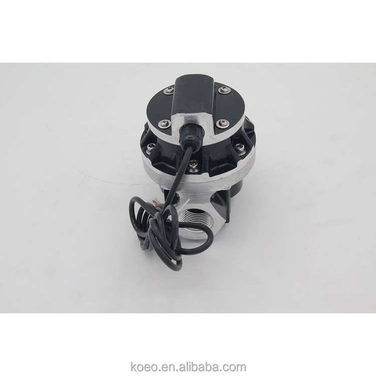 Koeo OGM-25P Oval Gear Flow Meter Sensor | Bestsuppliers.com