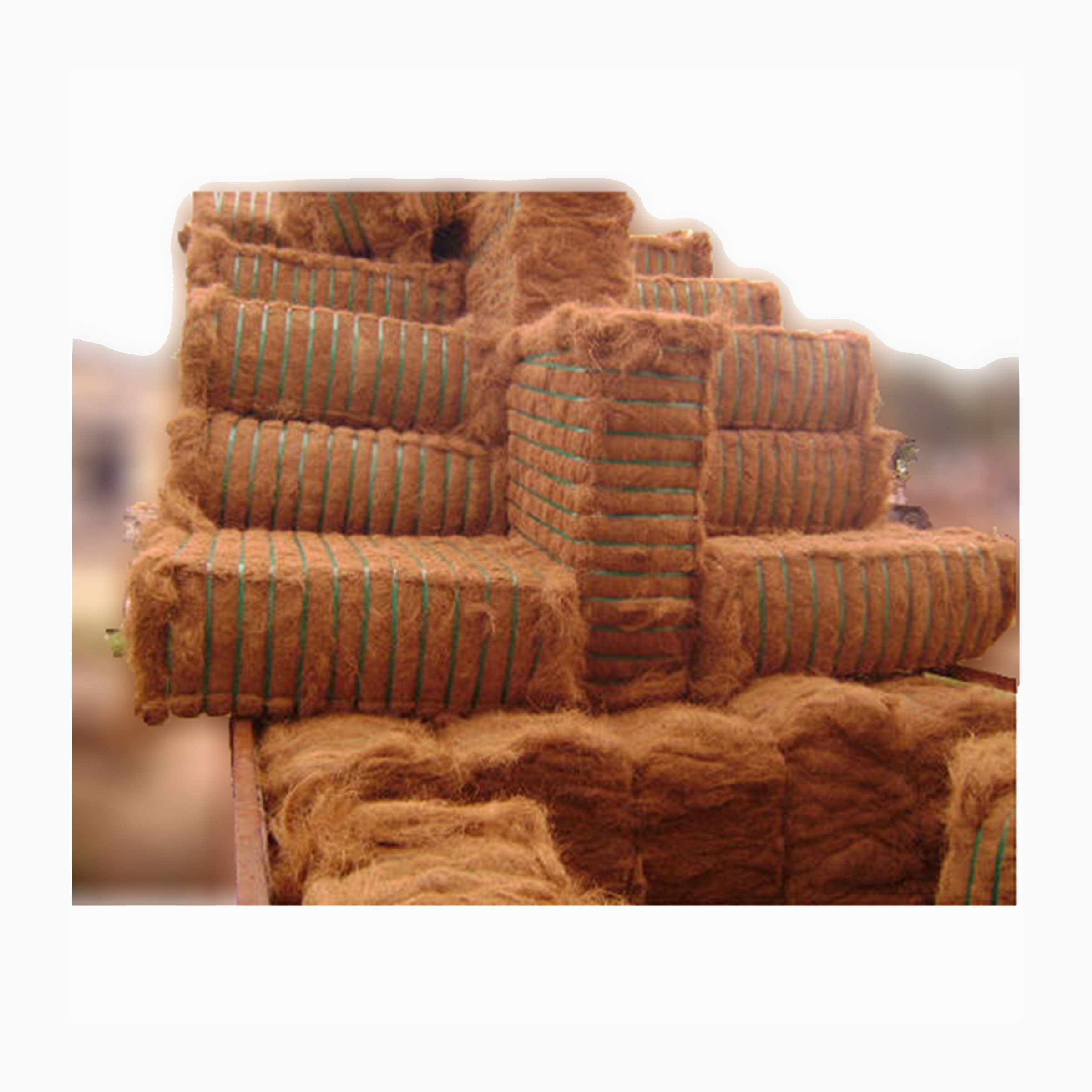 Best Coir Fiber Bales Manufacturing Coir Fiber Extracted From Matured ...
