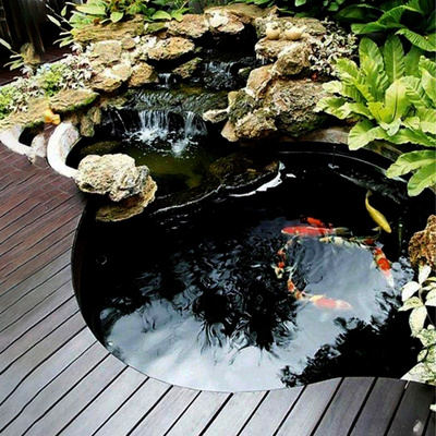 Small Man Made Fish Ponds 6 Small Pond Fish | Stocking Your Mini Pond