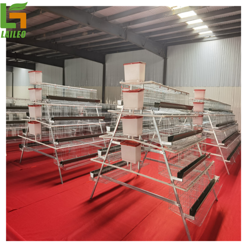 simple and smart poultry farm chicken cage for 96 birds | Bestsuppliers.com