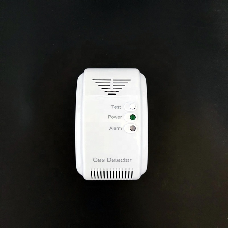 Gas Leakage Detector 12V/220V Domestic Gas Alarm Methane Propane Butane ...