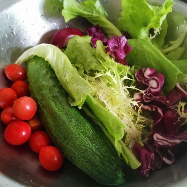 New design sea cucumber cleaning line machine potato cleaning machine ...