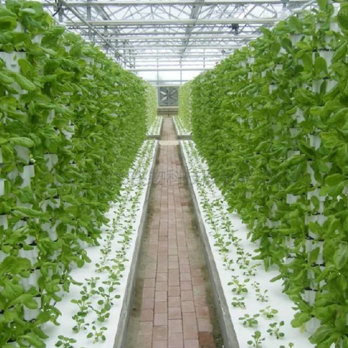 Greenhouse Indoor Plant Vertical Hydroponia Tower Growing Systems ...