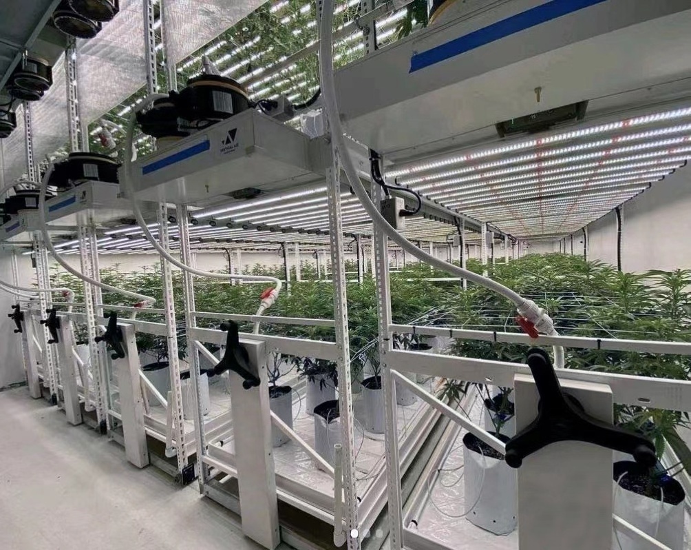 Lyine 2024 NEW table seedbed ebb and flow rolling bench Flood Trays ...