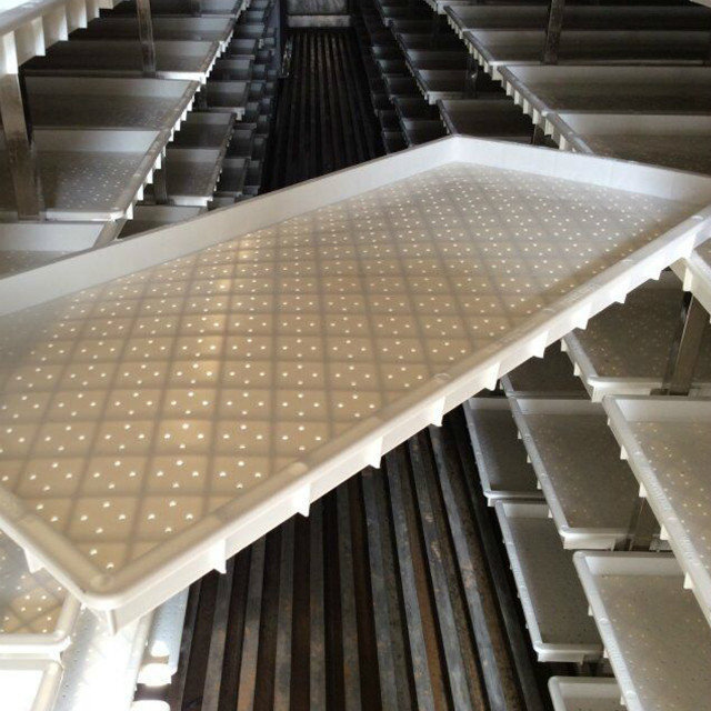 wholesale commercial paddy seedling seed sprouting hydroponics trays ...