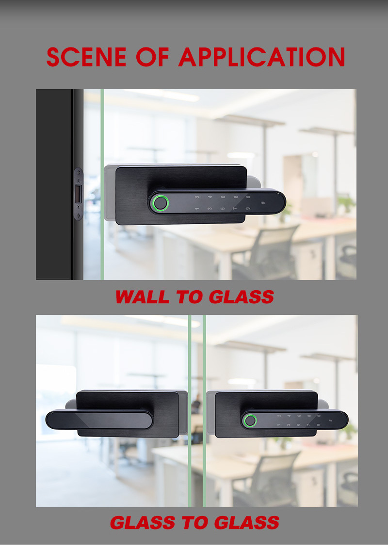 Biometric Fingerprint Smart Glass Door Lock with TUYA function Magnetic ...