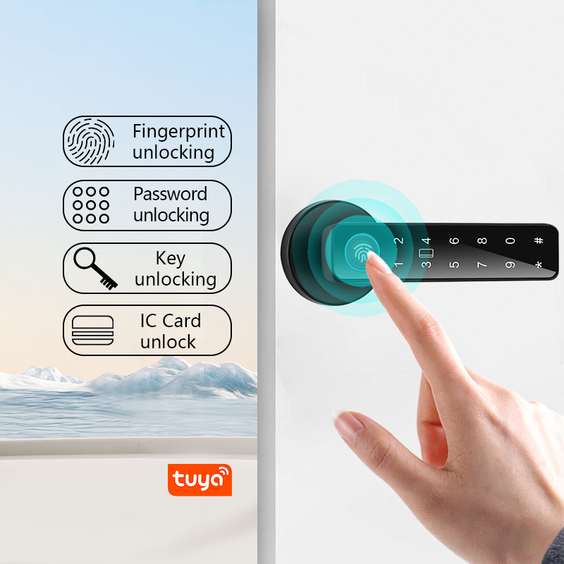 Tuya TT Lock WiFi App Smart Door Lock Electronic Fingerprint Door Handle Split Digital Keyless ...