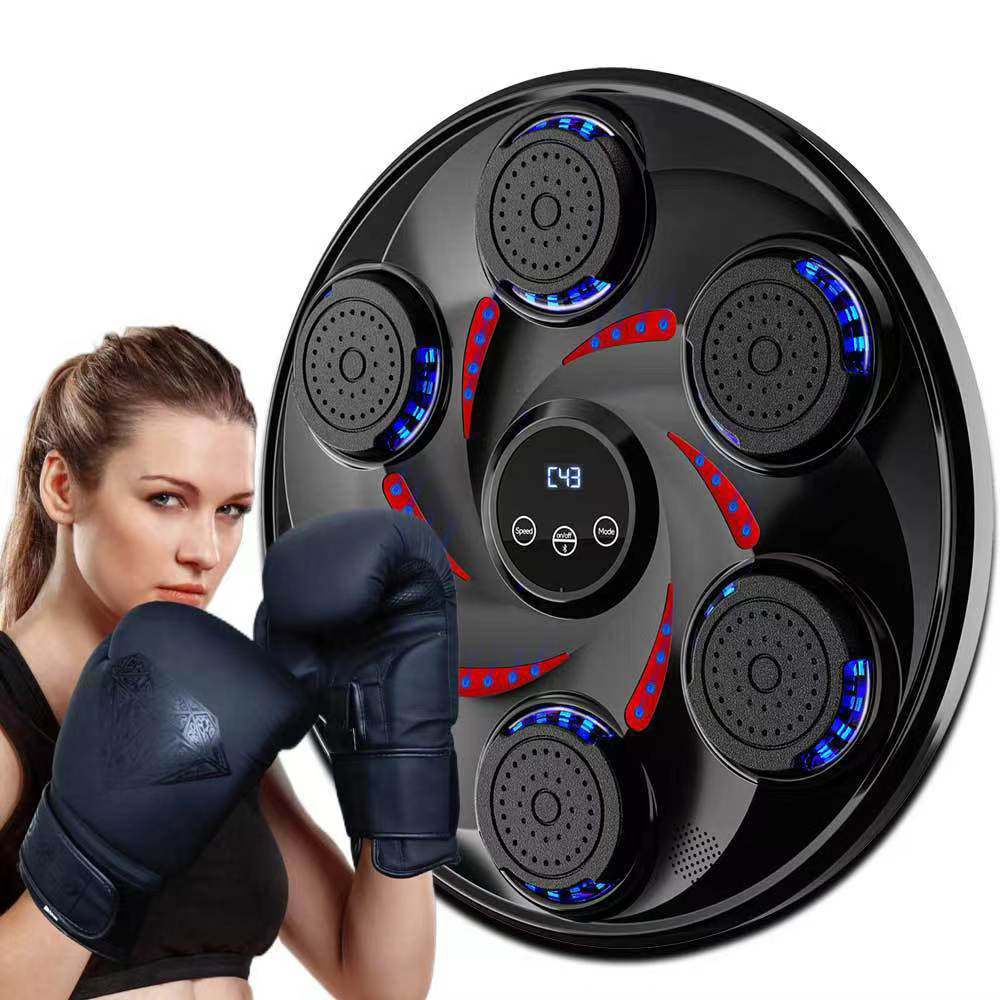 RS Wall Mounted Electronic Smart Boxing Game Punching Machines Training ...