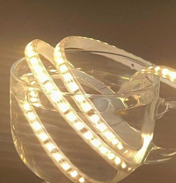 Custom Business Outdoor Garden Walkway Led Strip Lights 120leds/m 9W ...