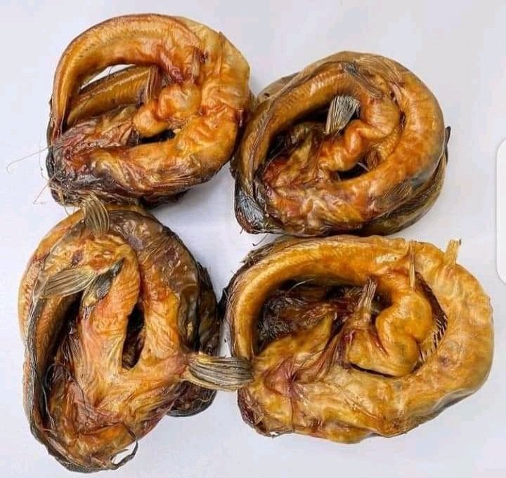 Smoked Dried Catfish Pangasius Best Quality/Cream dory fish/ sutchi ...