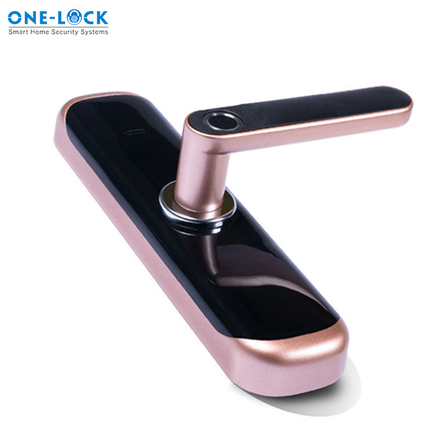 Smart life fingerprint password Steel Shackle Brass Padlock door lock ...