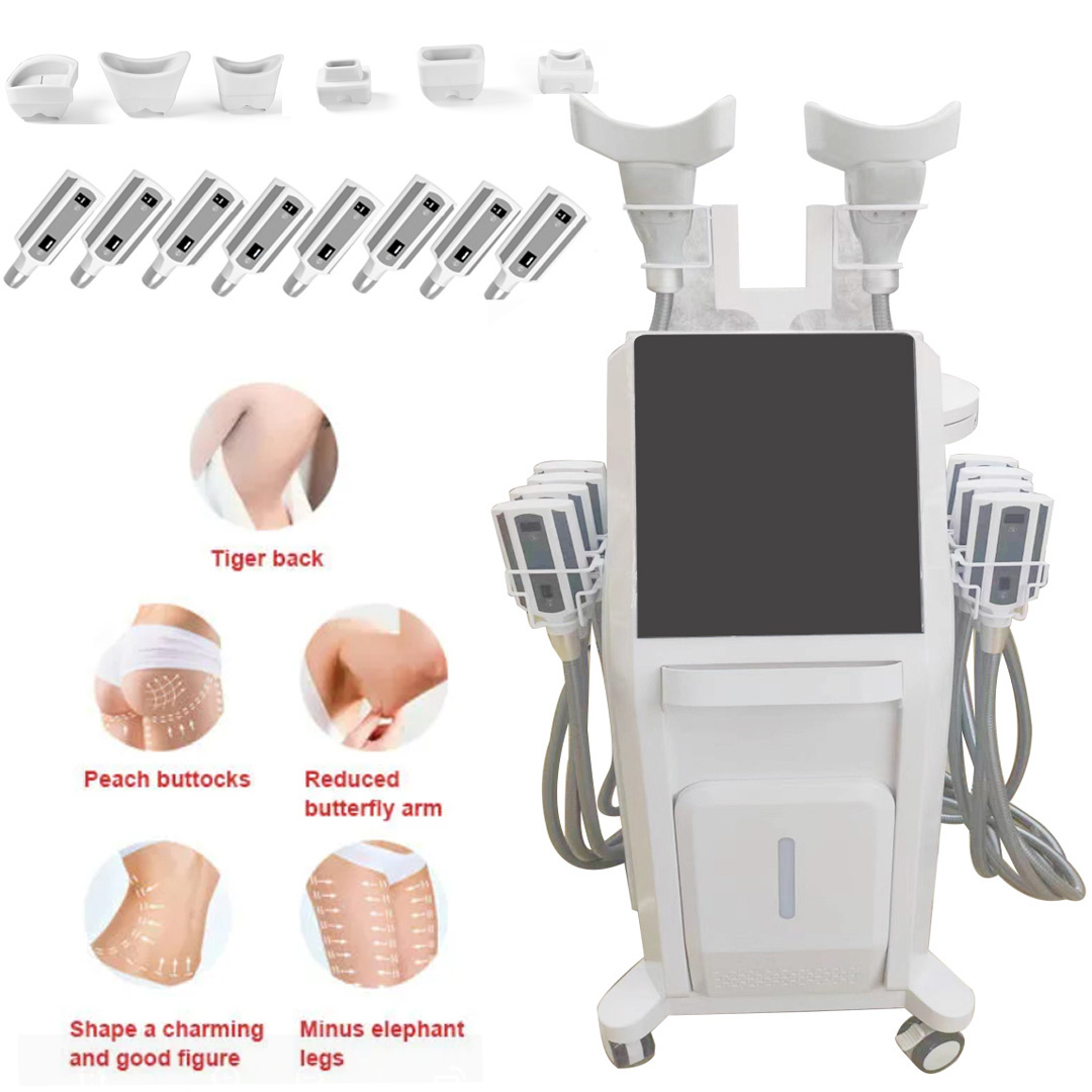 2 IN 1 cryo lipolysis cool shape machine 8 pads cryo ems slimming ...