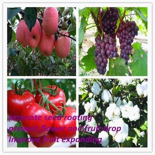 Plant growth promotor Trans Zeatin supplier 99%TC | Bestsuppliers.com