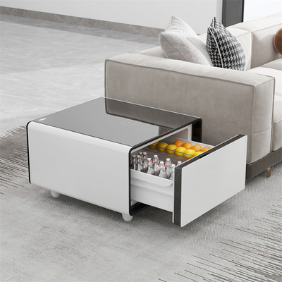 Sofa with mini fridge store