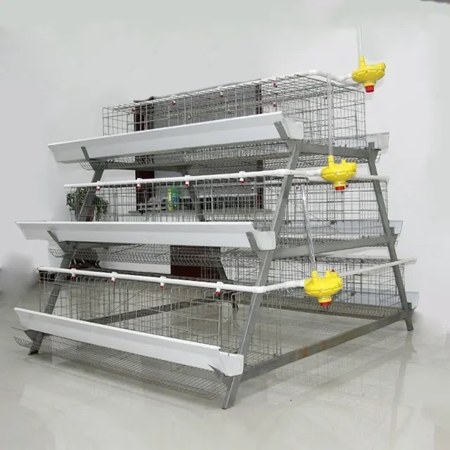 Automatic Poultry Farming Cheap Layer Chicken Cage System For Chicken ...