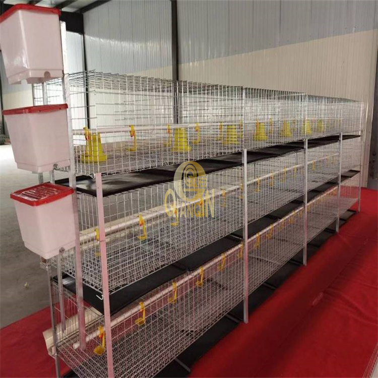 Automatic Poultry Feeding H Type Chick/Chicken Cage For Raising Chicks ...