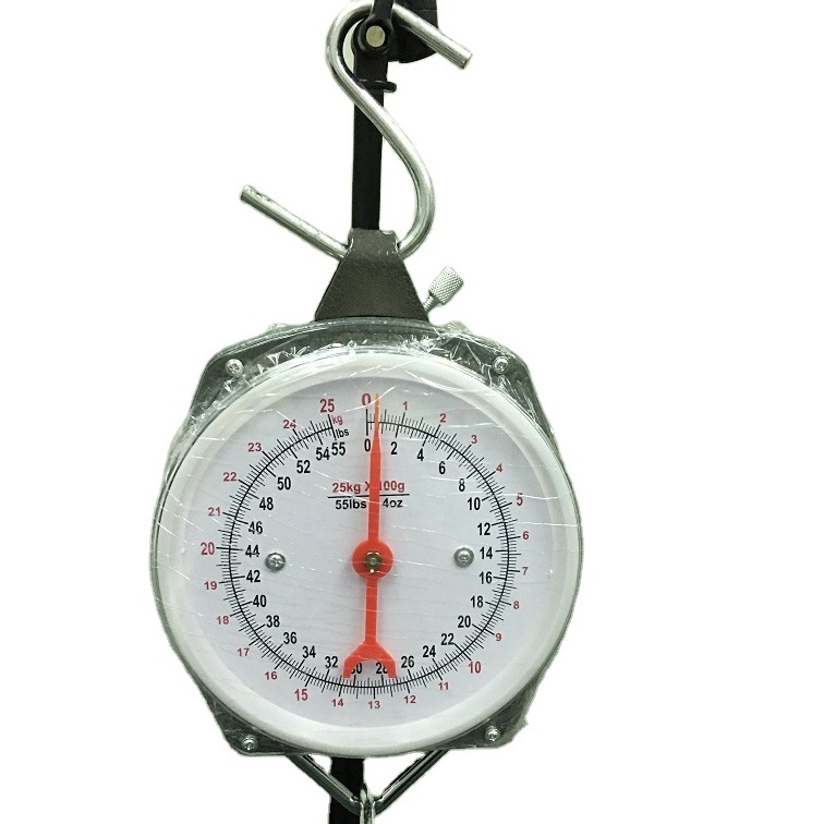 RC-ZZDP300 25kgs-100kgs baby manual hanging weighing scale,mechanical ...