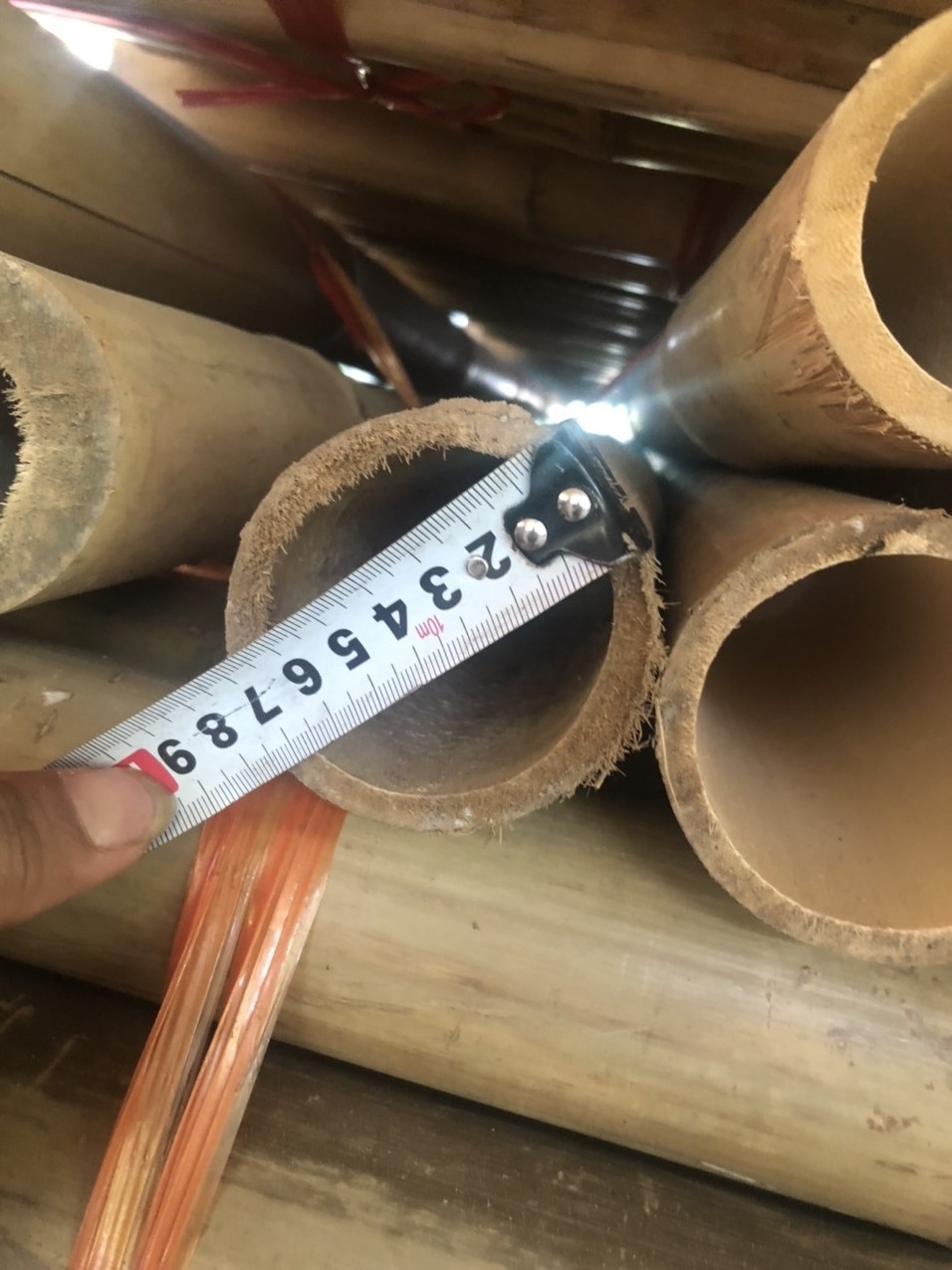 Big Size Bamboo Canes For Fences Partitions Decor From Vietnam/ Treated ...