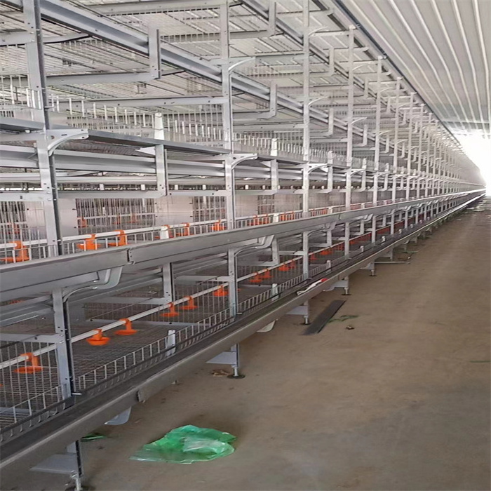 Completely Automatic System Chicken Raising Equipment H A Type Laying ...