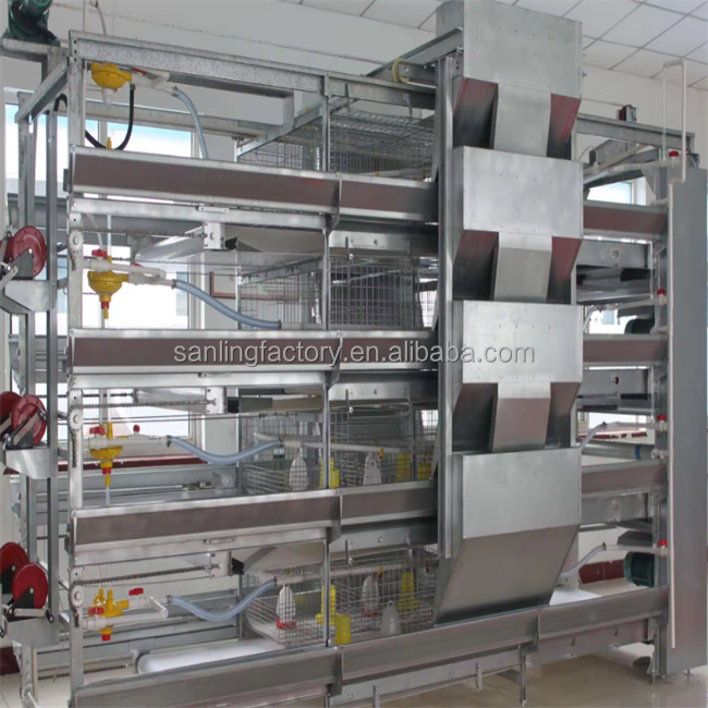 Completely Automatic System Chicken Raising Equipment H A Type Laying ...