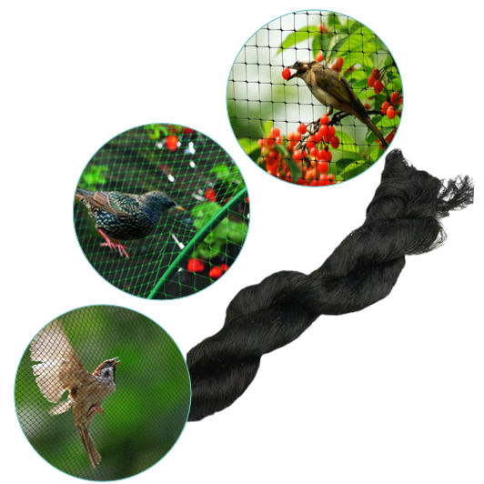 Black Agricultural Anti Bird Net Garden Bird Protection Mesh ...