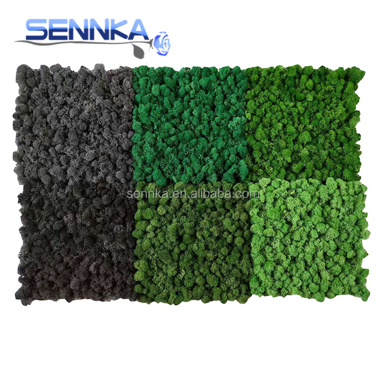 Wholesale Decorative Reindeer Garden Real Stabilized Moss Wall DIY Natural Preserved Moss Panel ...