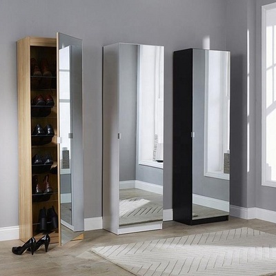 Mirrored shoe storage cabinet store