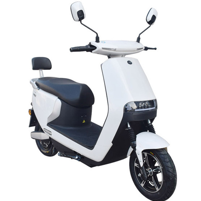 Famous Brand Sinski Customized Color Logo Off Road Electric Motorbike ...