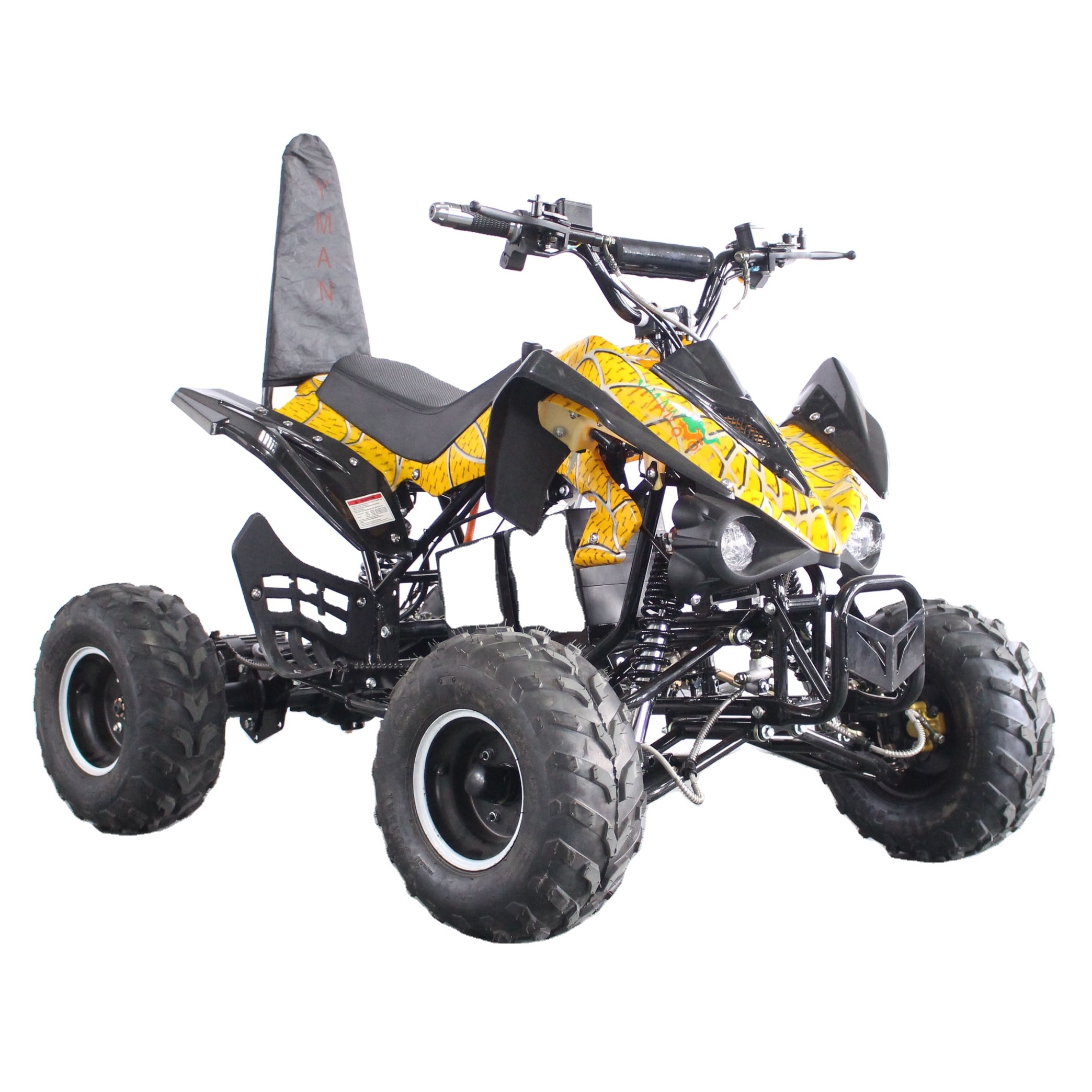 48V 20Ah Quad Bike 1000W Electric ATV With 7 Inch Wheels For Teens And ...