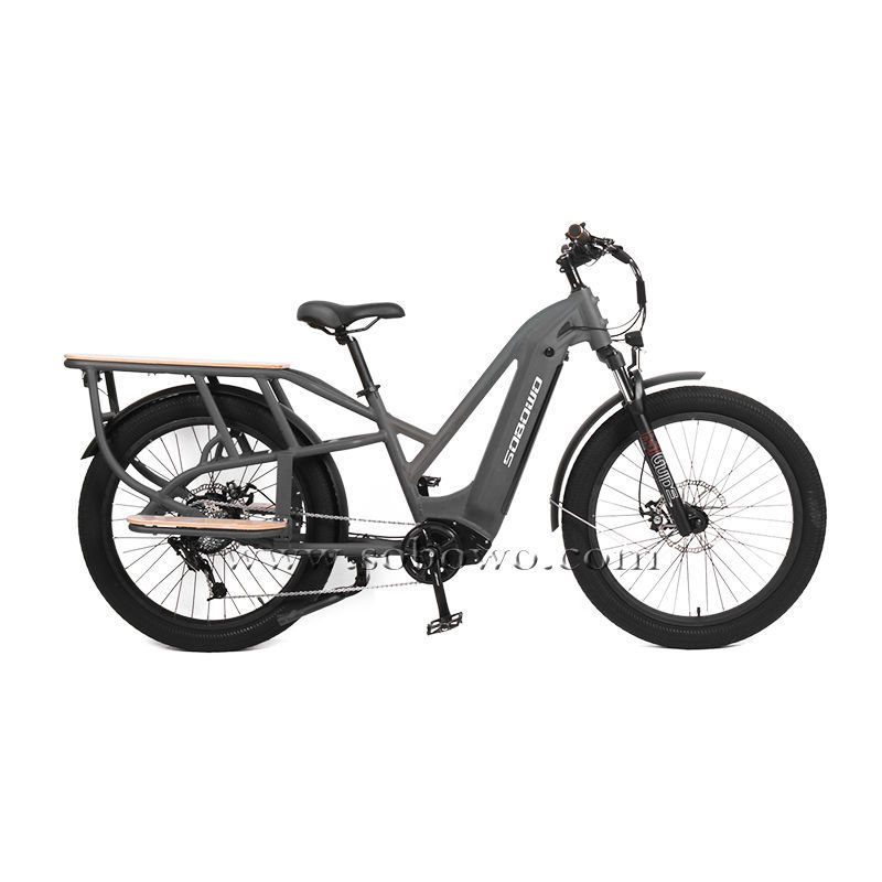 New design 2 wheel family use cargo electric bike with integrated ...