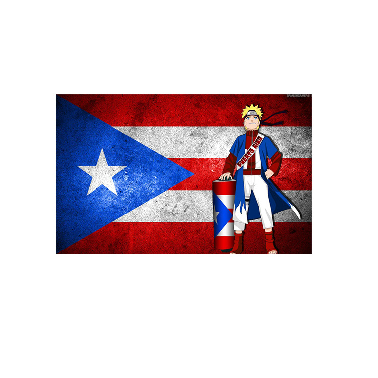 Wholesale Lot 3x5Ft Puerto Rico 100% Polyester Boricua Flag Puerto ...
