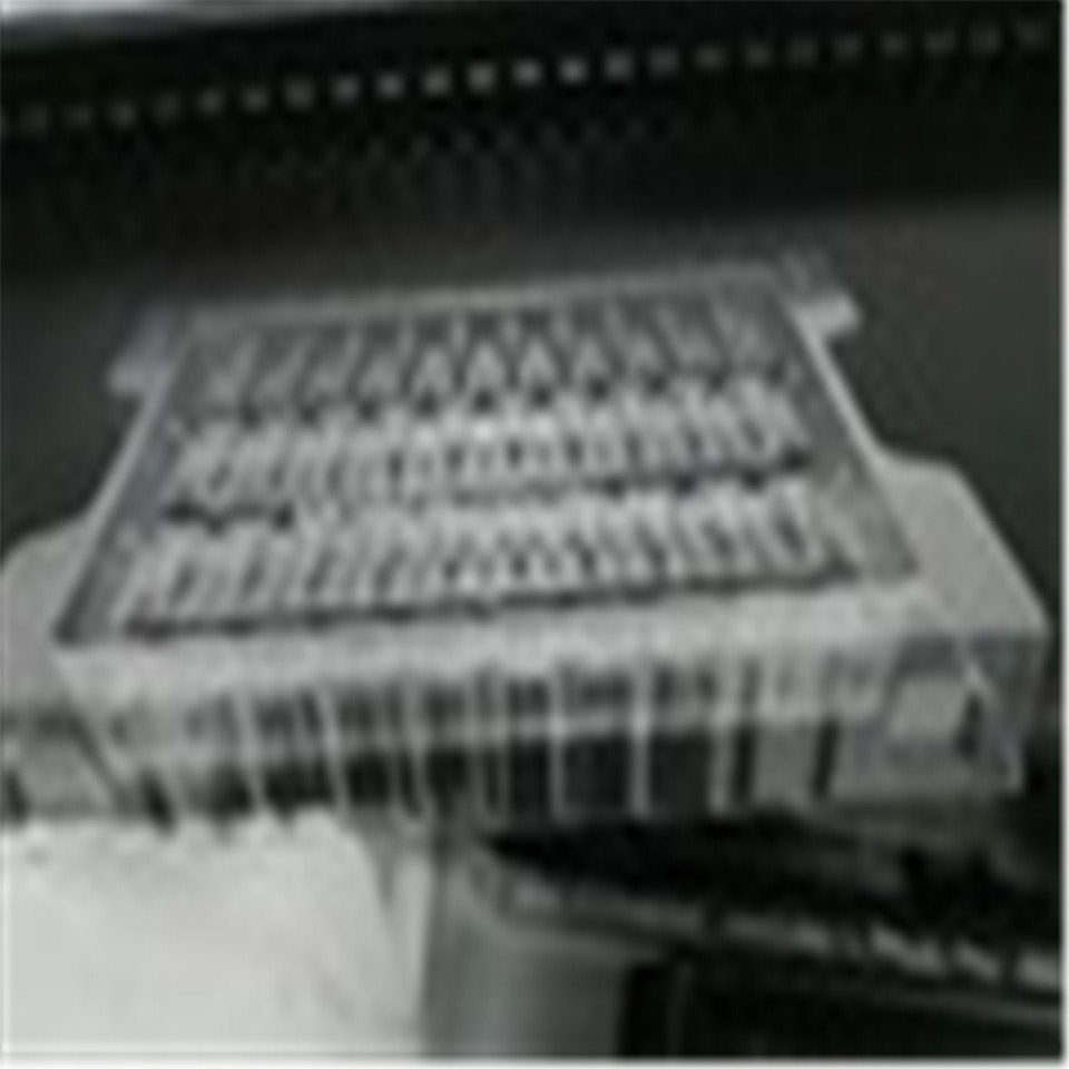 custom Vacuum Forming pallets blister cards disposable Makeup inner ...