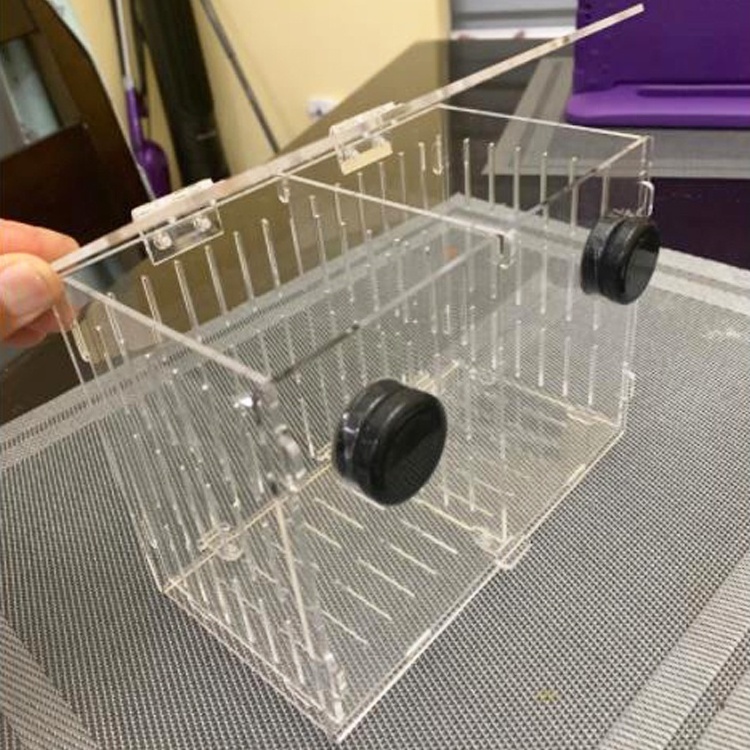 2 Splits Acrylic transparent breeding box isolator box fish egg brooder ...