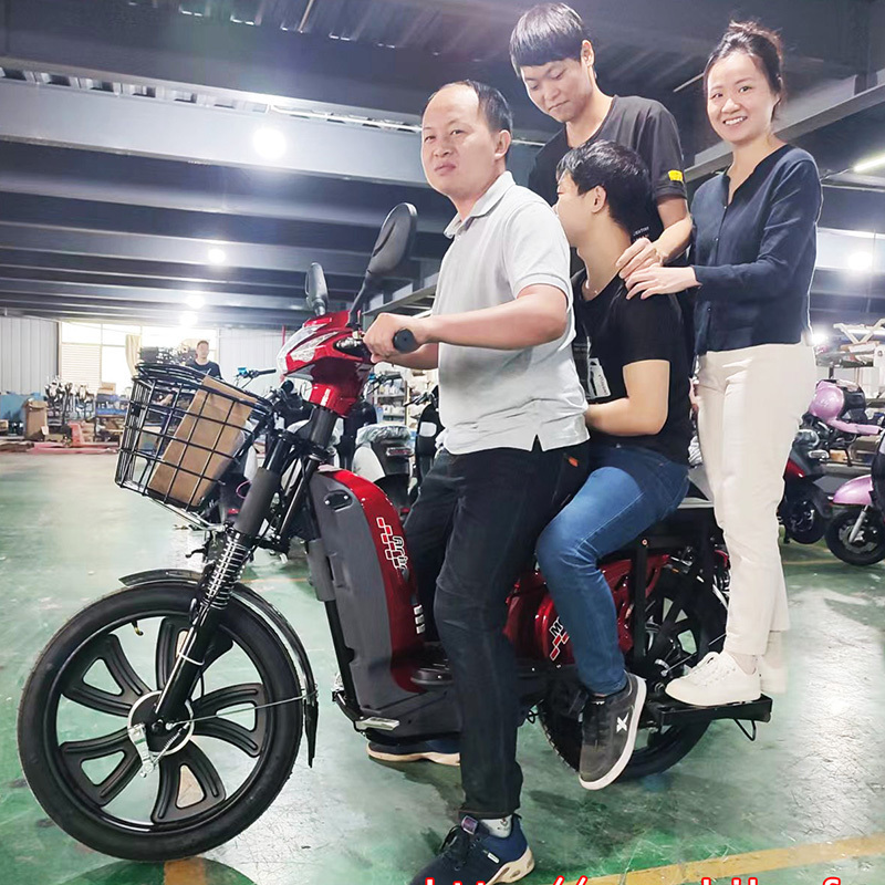 road runner e bike electric scooters powerful adult with seat ...