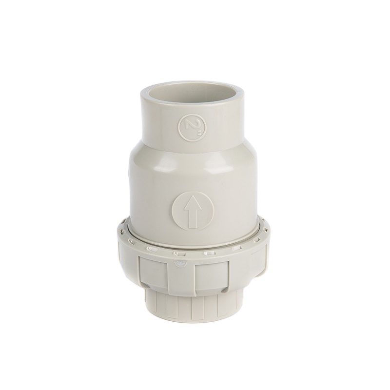 Swing Check Valve Hot Product Factory Price PVC Water Plastic White OEM ...
