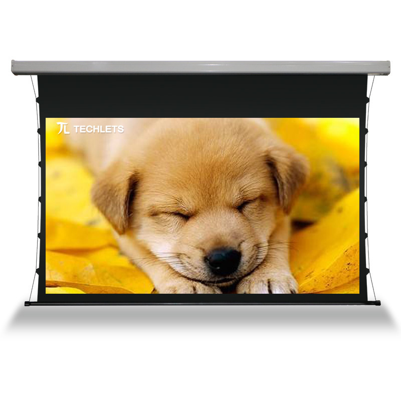 For the short throw projector ambient light rejection roll-up projector ...