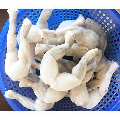 Frozen Frog Cleaned Headless & Skinless | Bestsuppliers.com