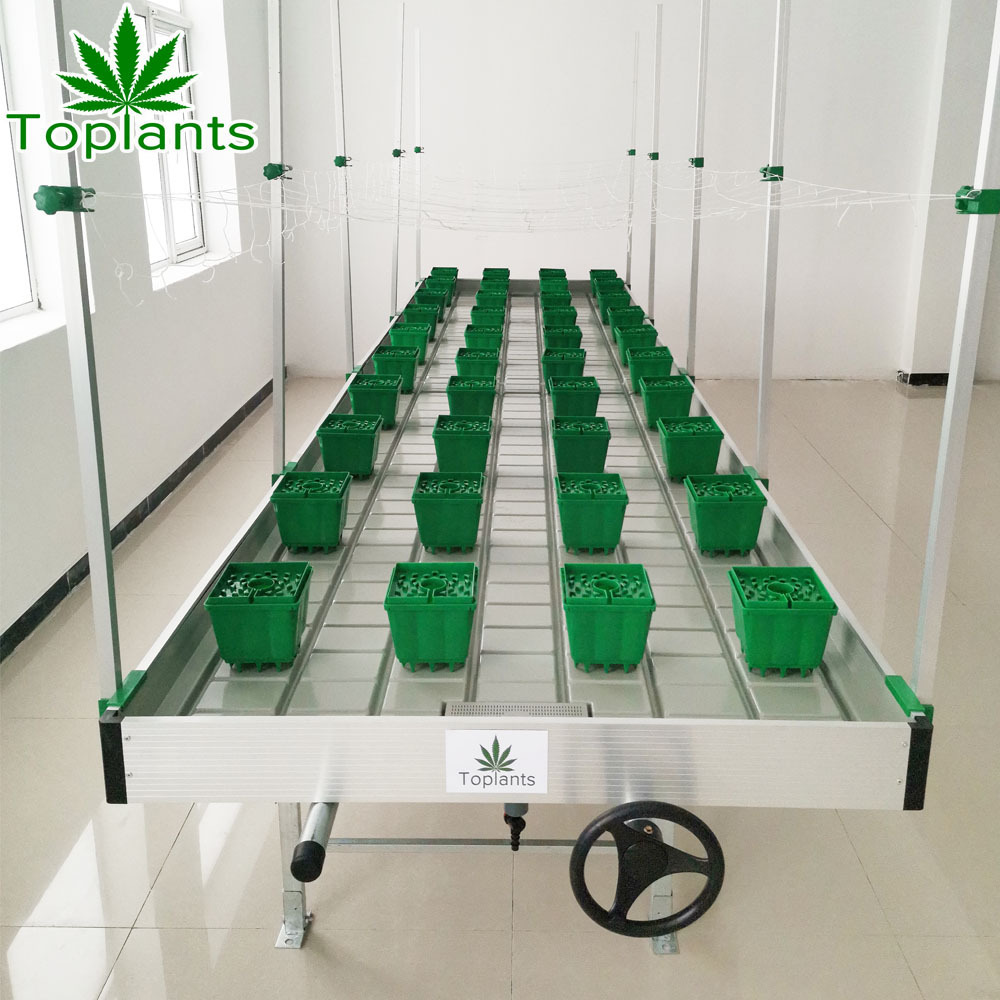 Nursery growing tables 4x8 grow trays flood drain rolling bench ...