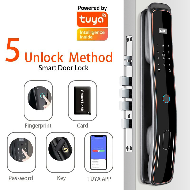 TYSH Fingerprint Electric Fully Automatic Lock Tuya App Smart Home Door ...