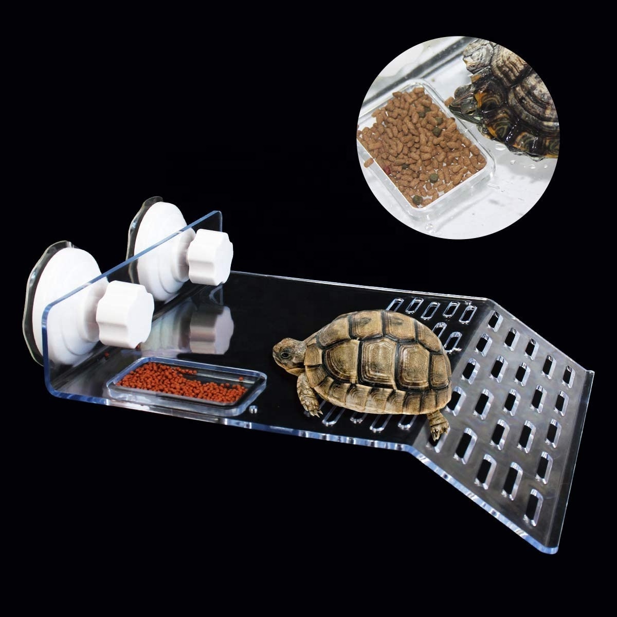 Clear Turtle Tank Resting Basking Platform Habitat Tortoise Reasting ...