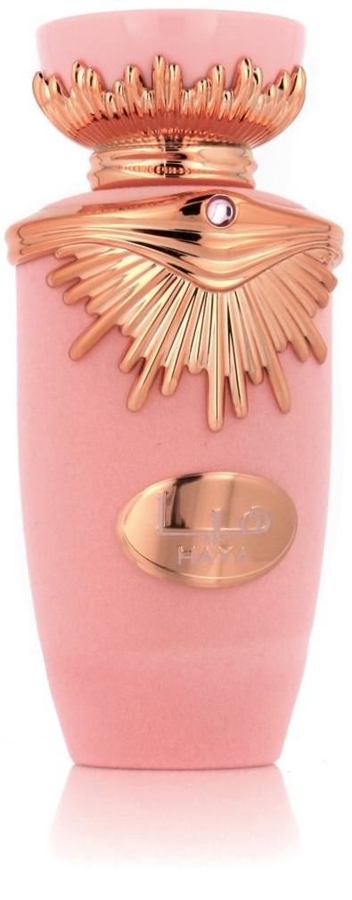 Eau de Perfume HAYA 100ml by Lattafa Oriental Arabic 100 ml Rose Dubai ...