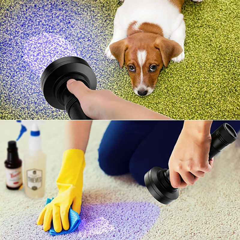 100 LED UV Blacklight Ultraviolet Flashlight Pet Urine Stain Detector ...