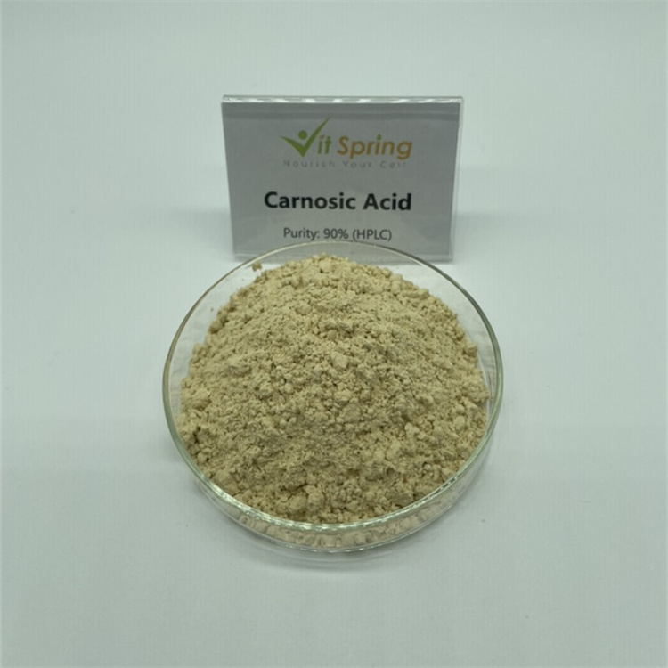 90% Natural Rosemary Antioxidant Rosemary Leaf Extract Carnosic Acid ...